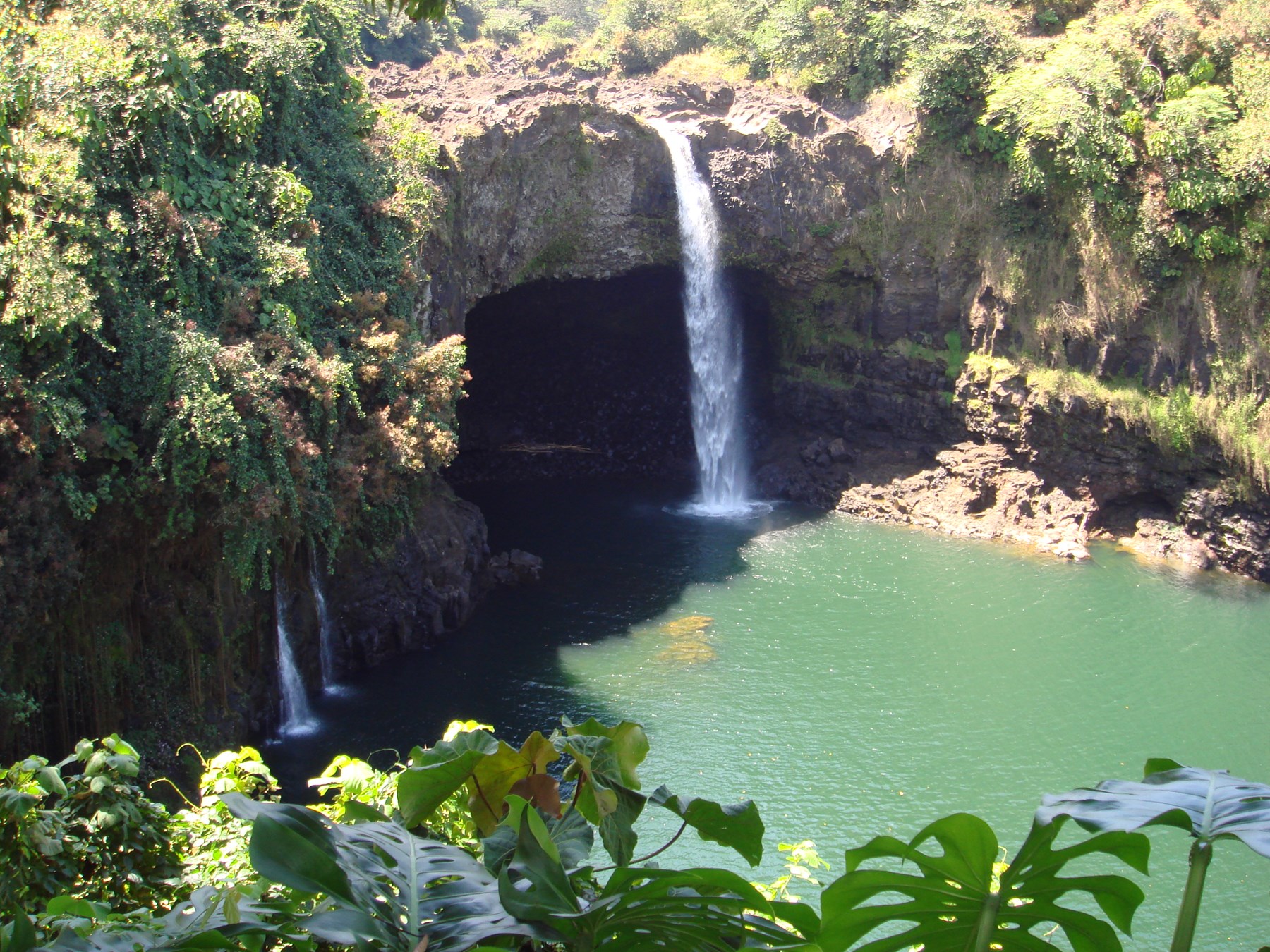 William Koon Lup Wong Obituary - Honolulu, HI