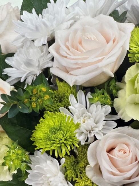 Juan Trejo Rodriguez Obituary - Pico Rivera, CA