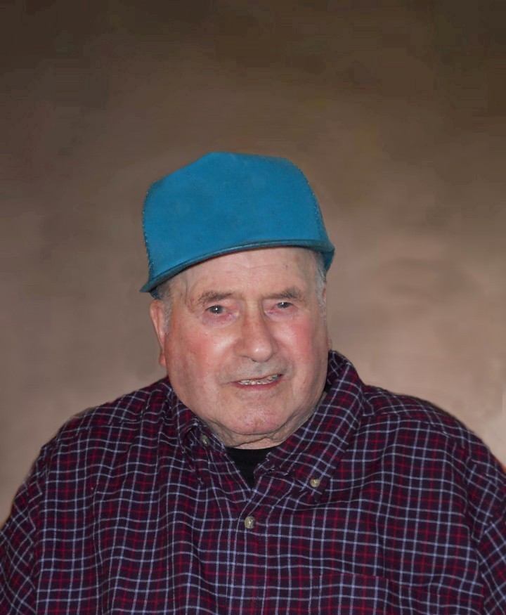 Louis Bugyik Obituary - Navin, MB