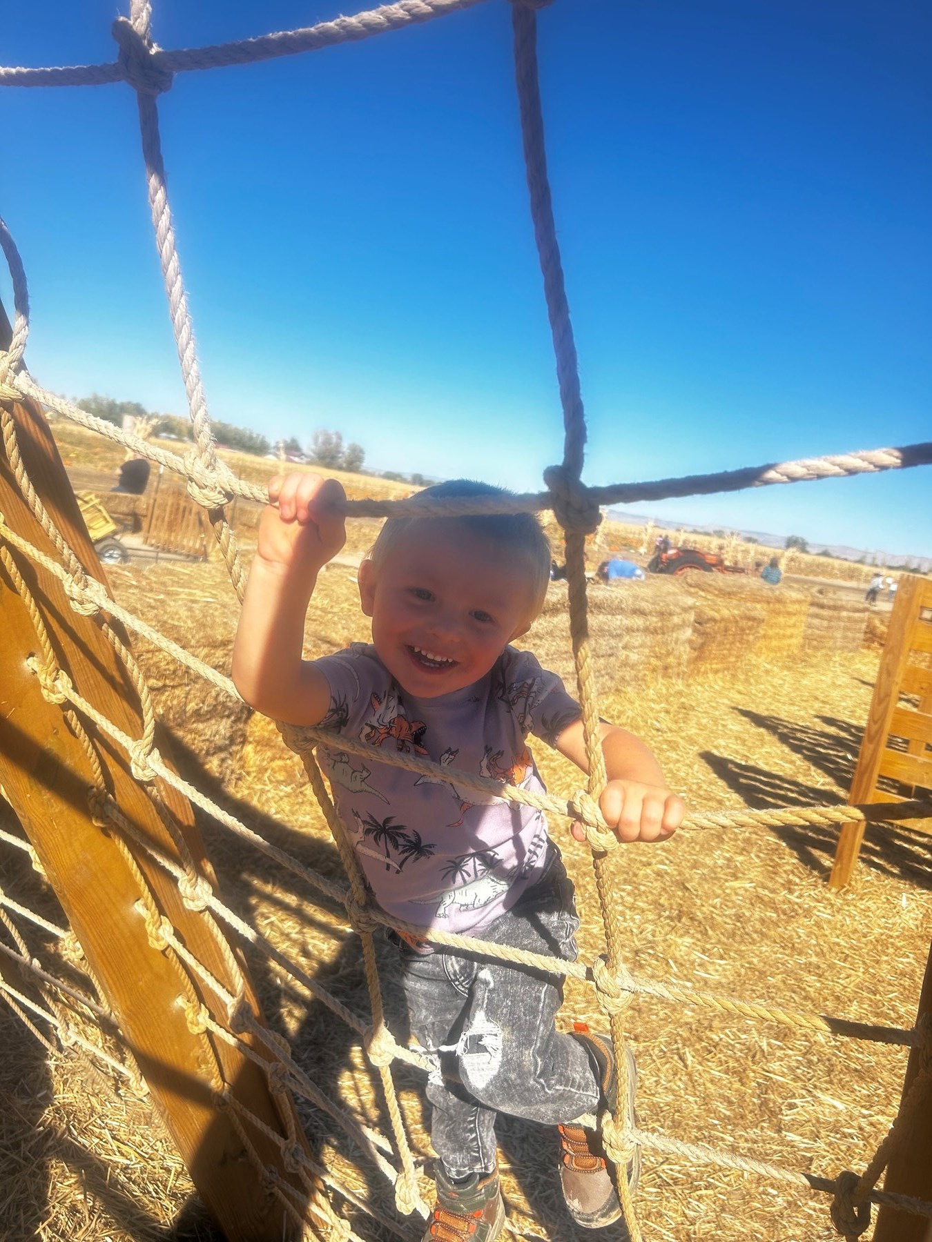 Alexander Webber Obituary - Grand Junction, CO