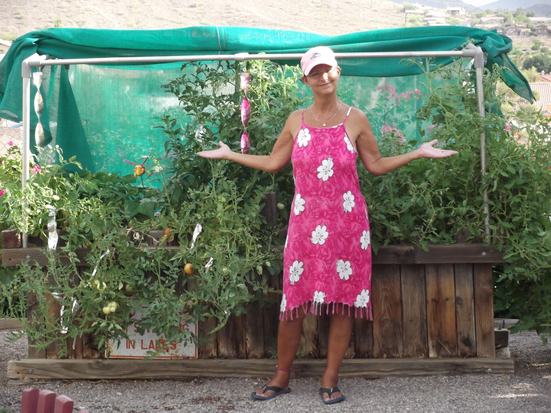 Donna Duck Obituary - Phoenix, AZ