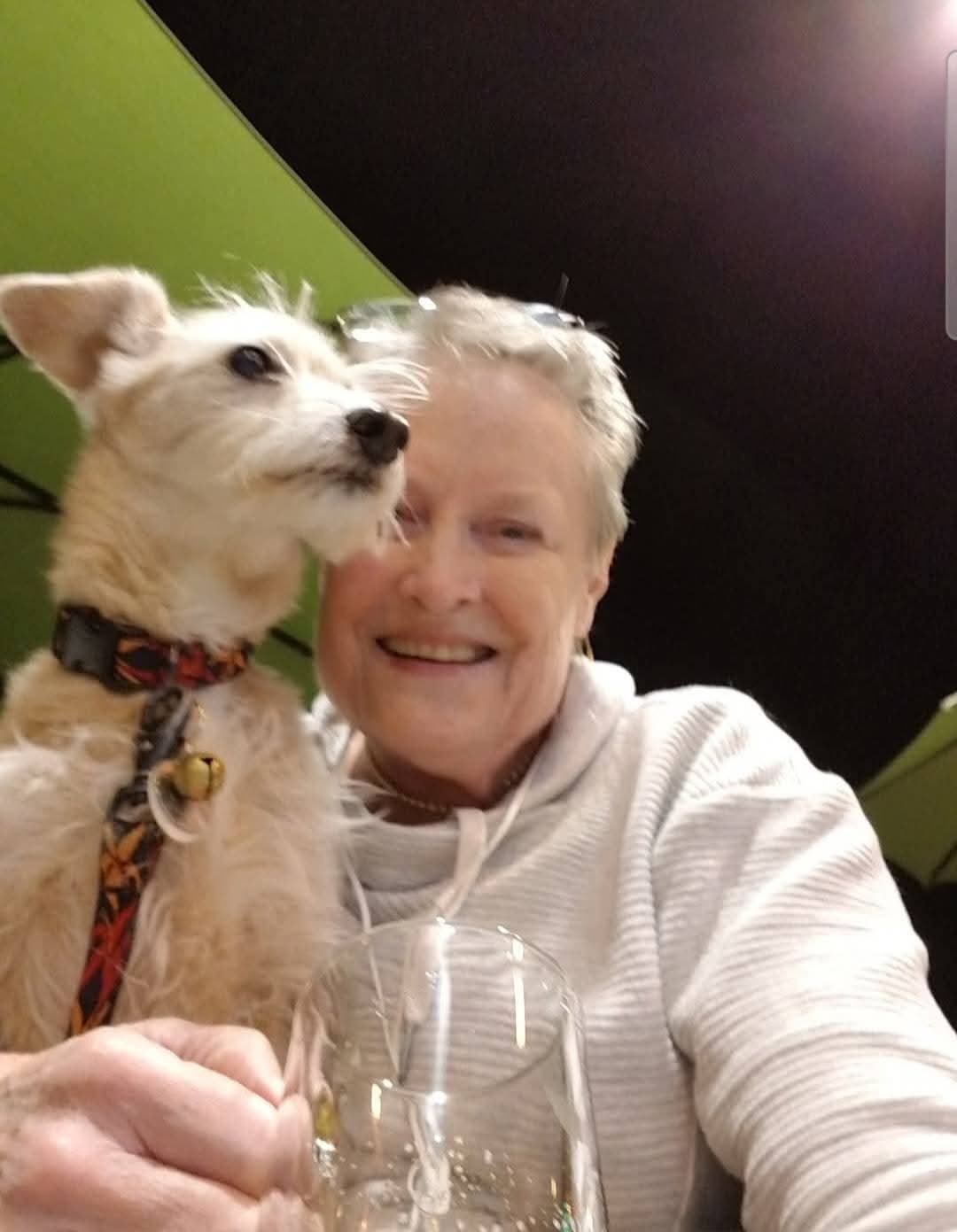 Nancy Chase Obituary - Santa Ana, CA