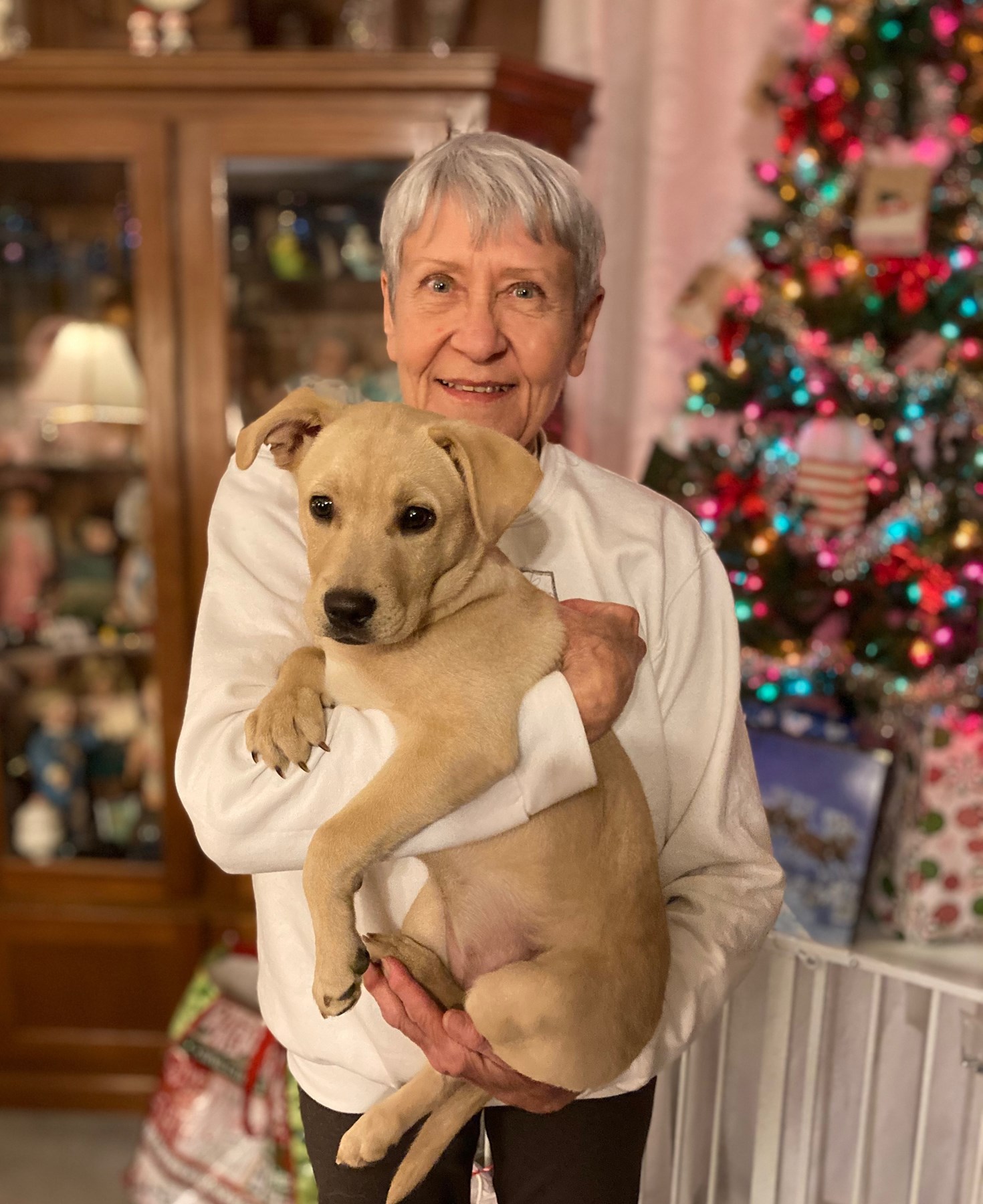 Judy Lowery Obituary - Memphis, TN