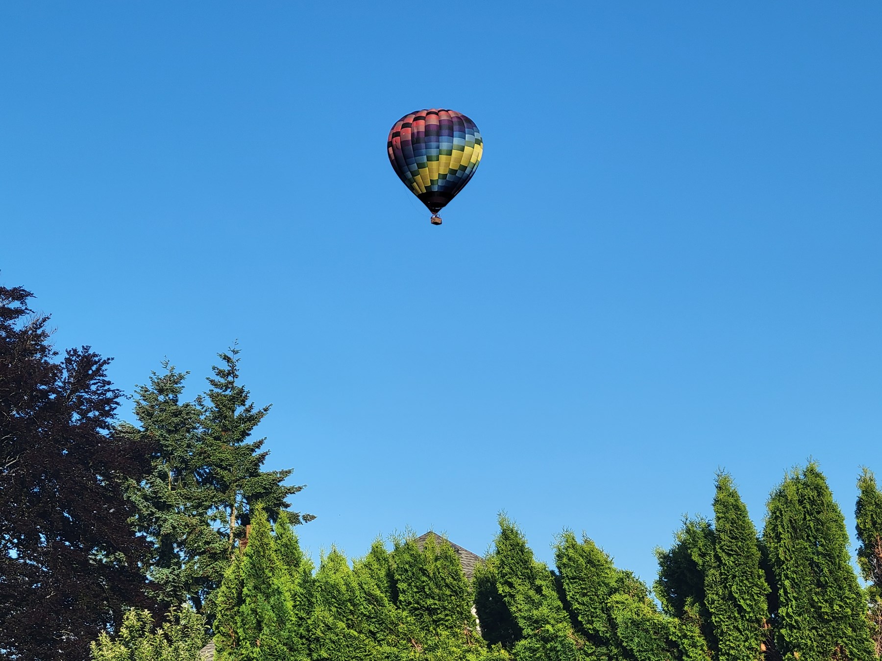 Richard Teal Obituary - Bothell, WA