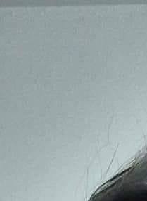 Patricia Rodriguez Obituary - Kerman, CA Patricia Rodriguez Obituary - Kerman, CA