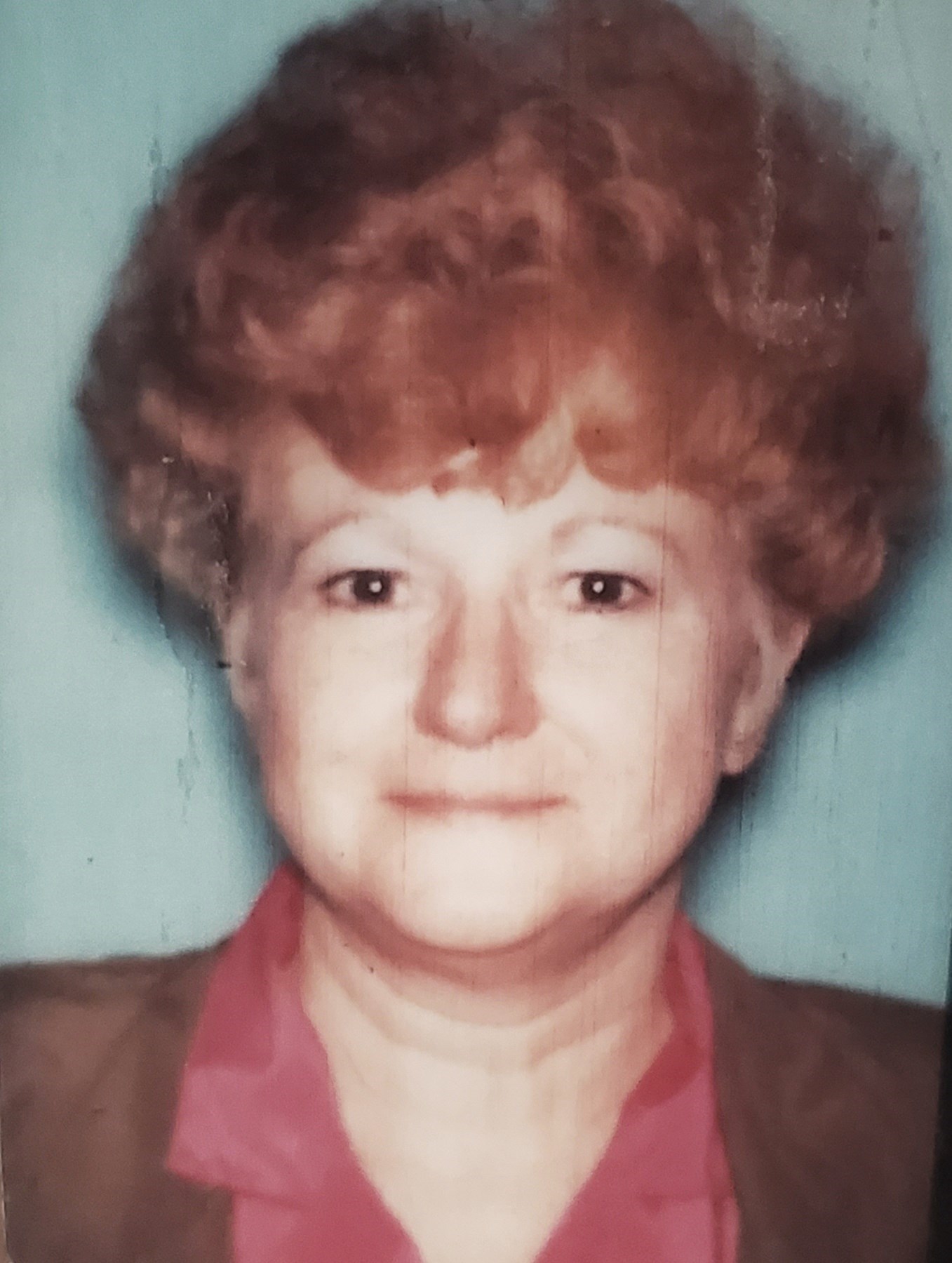 Phyllis Baranyk Obituary - Sarasota, FL