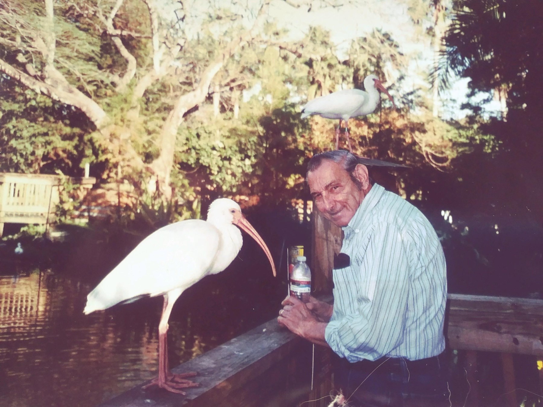 Joseph Amon Obituary - Hicksville, NY