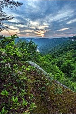 Leonard Barnard Obituary - Falls Church, VA
