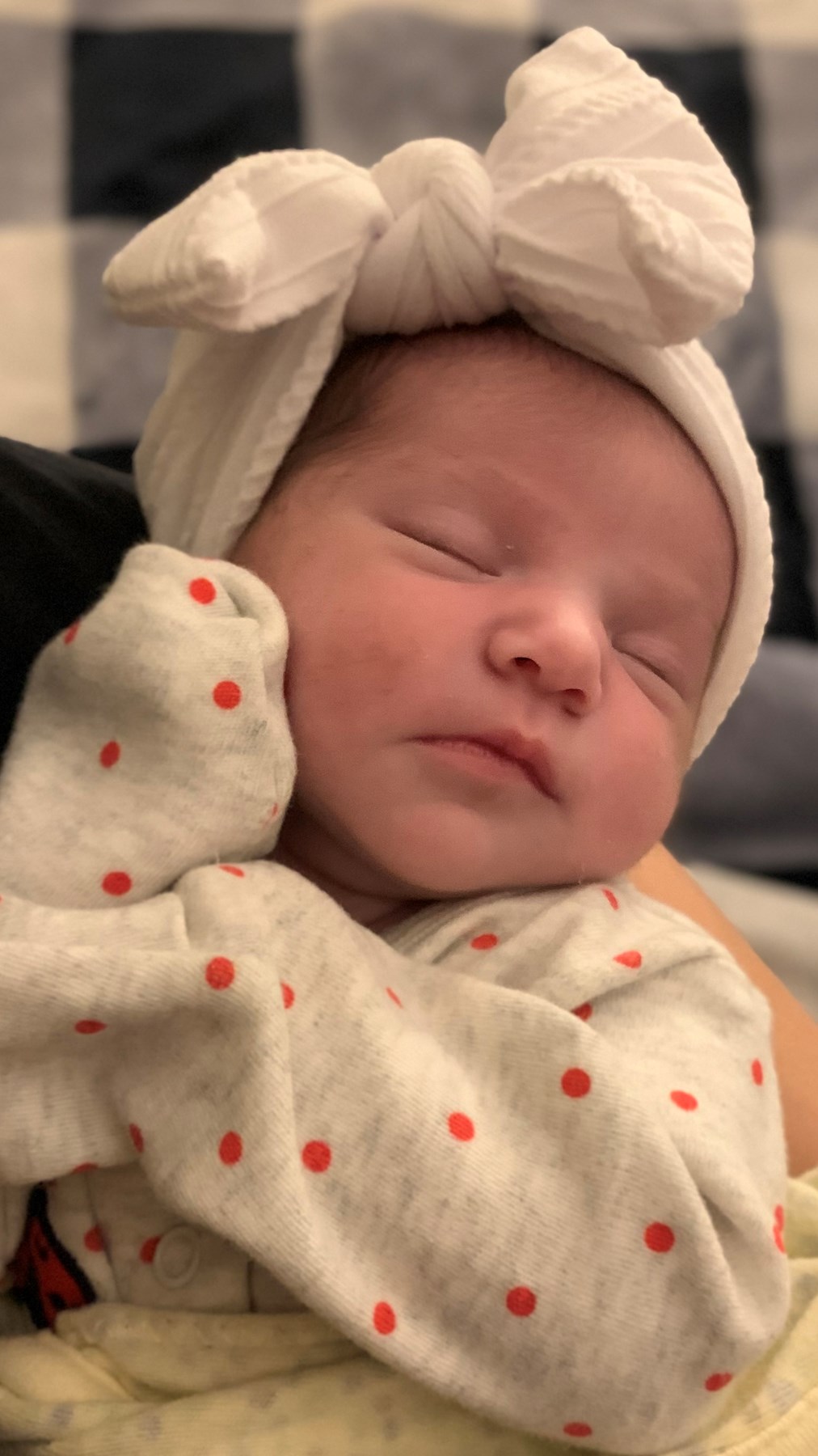 Callie Marin Obituary - Orlando, FL