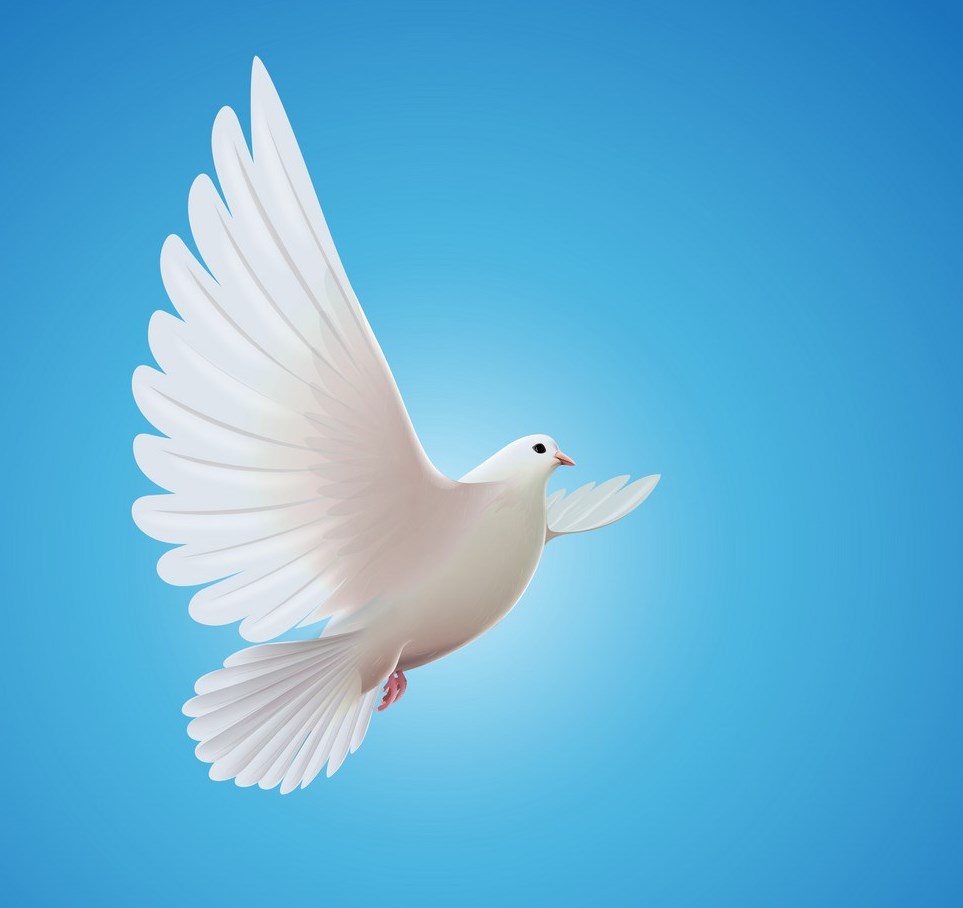 Jessa Johnson Obituary - Chattanooga, TN