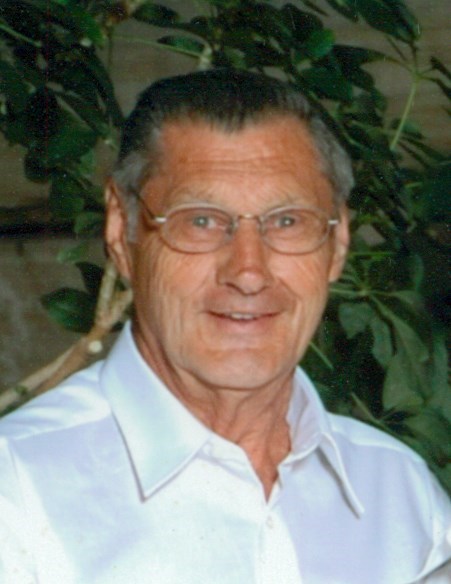 Andrew Victor Siska Obituary - Calgary, AB