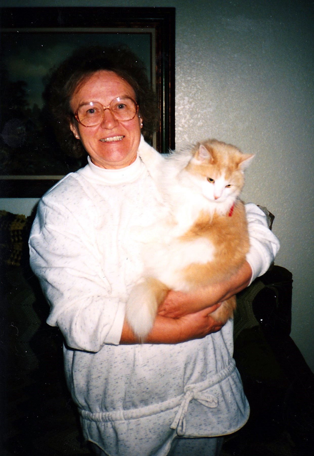 Joshua Rohr's Instagram, Twitter & Facebook on IDCrawl