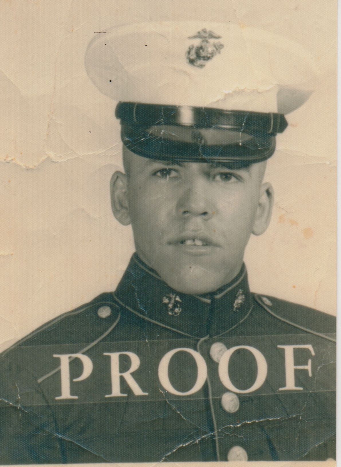 Michelle Deese's Instagram, Twitter & Facebook on IDCrawl