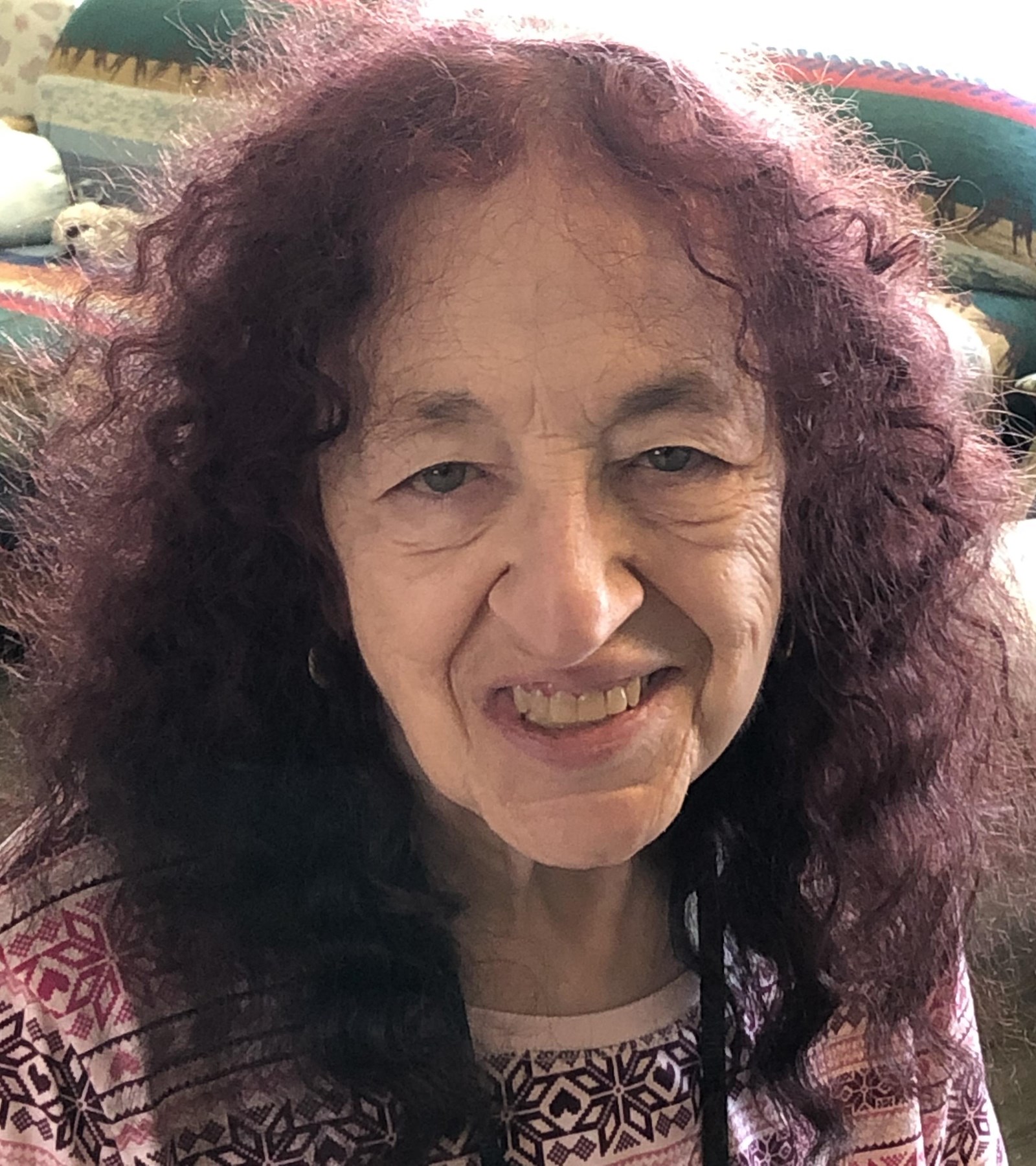 Phyllis Evans Obituary - Williamsville, NY