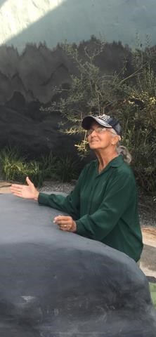 Ligia Elba Reyes Obituary - Seminole, FL