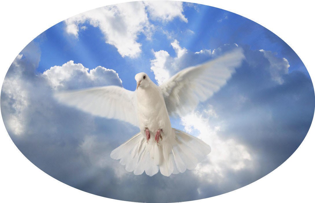 Katie Ketler Obituary - Winnipeg, MB