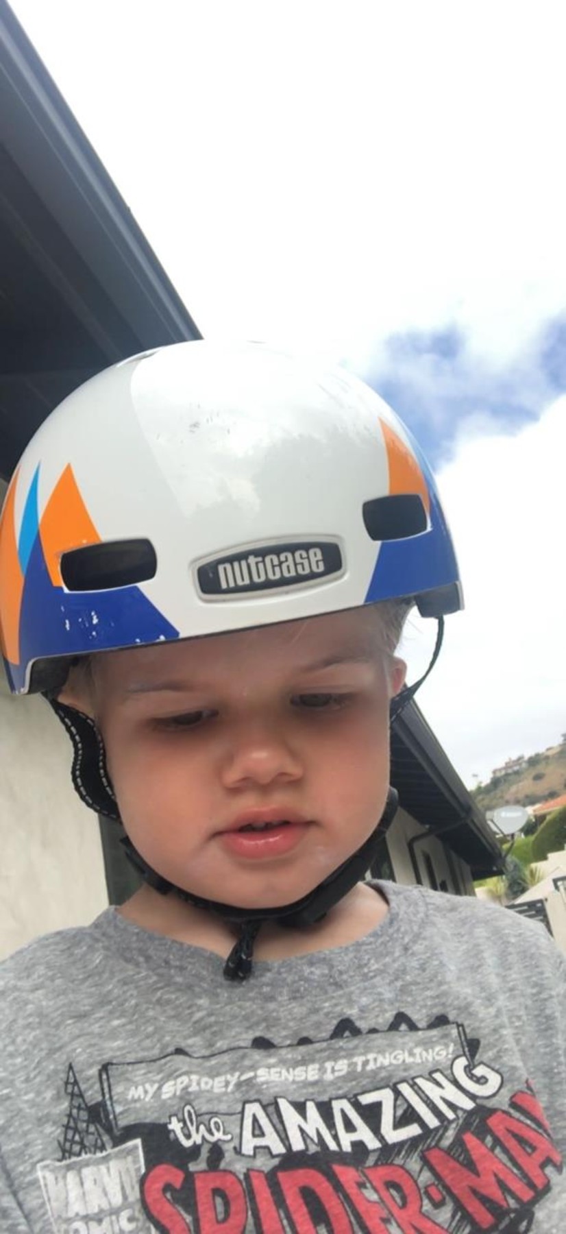 Sharon Gandy's Instagram, Twitter & Facebook on IDCrawl