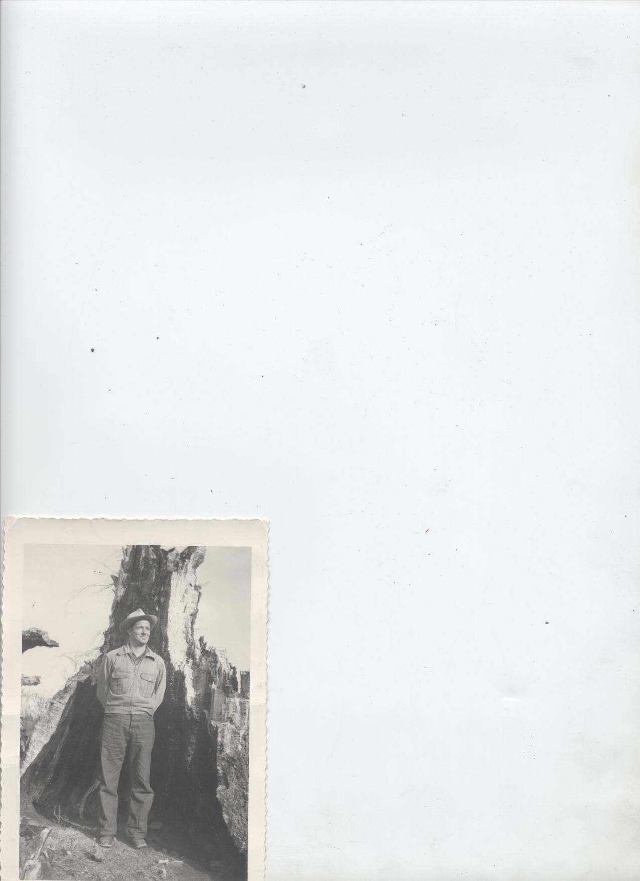 David Hamilton Obituary - Port Dickinson, NY