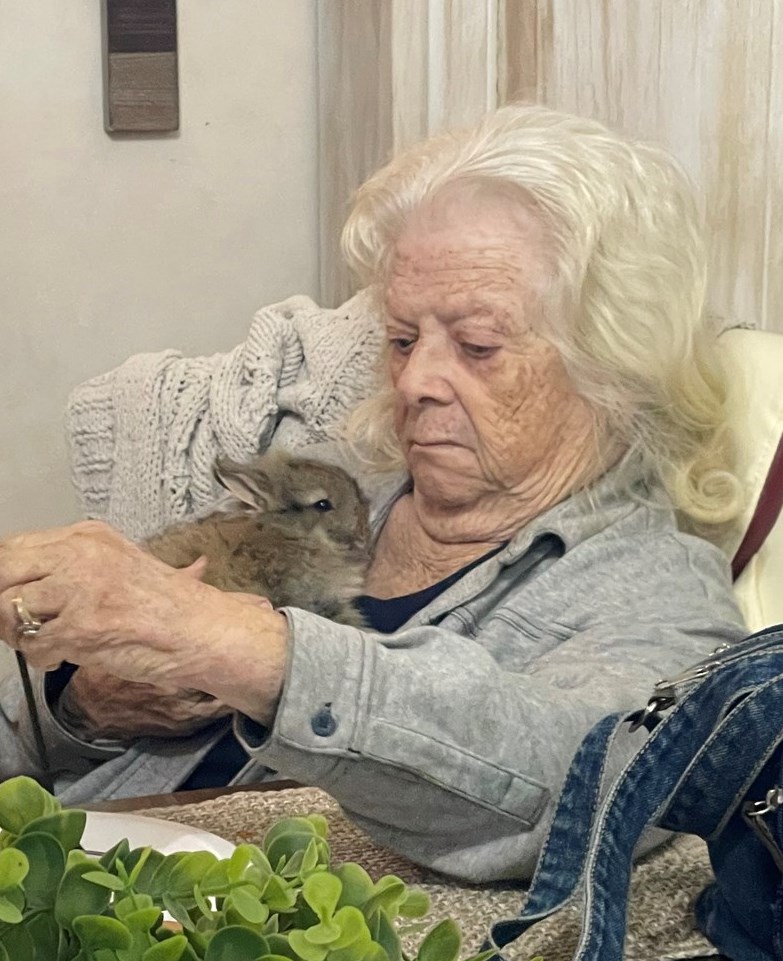 Nancy Ploof Obituary - Jacksonville, FL