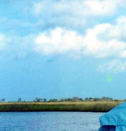 Warren Gannuch Obituary - Metairie, LA Warren Gannuch Obituary - Metairie, LA