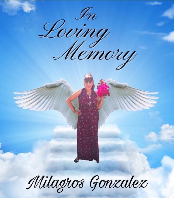 Milagros Gonzalez Obituary - Tampa, FL