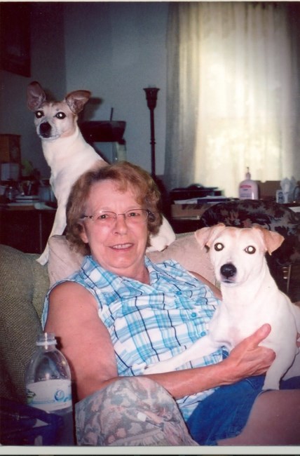 Barbara Lightner Obituary - Falls Church, VA