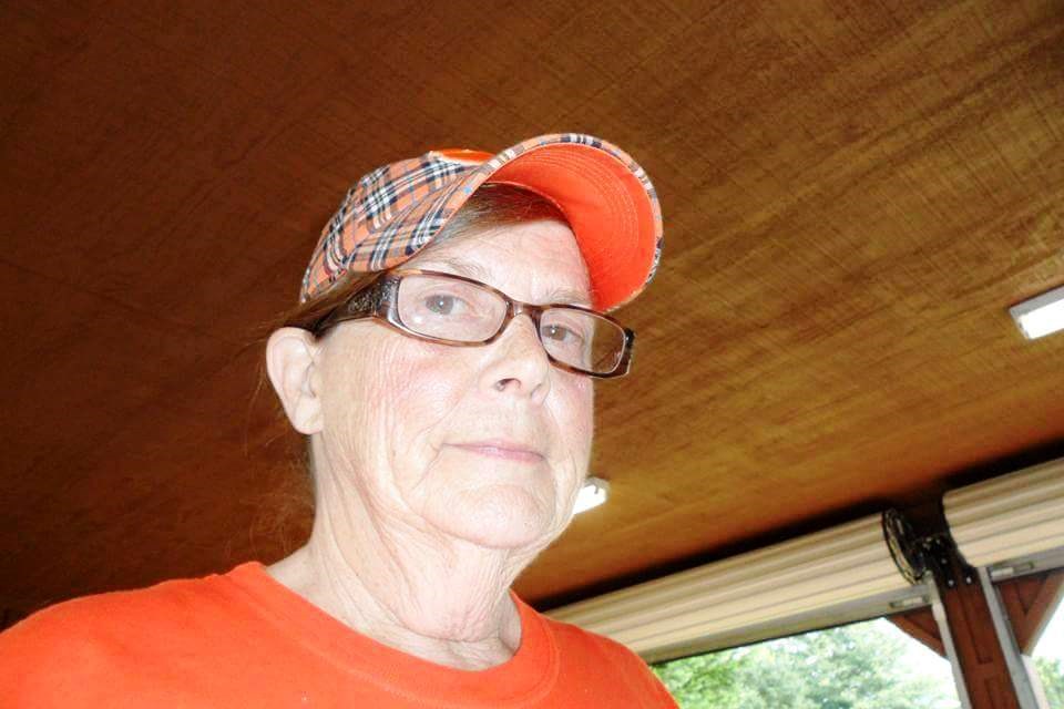Brenda Davis Obituary - Pickens, SC