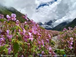 Angela Gann Obituary - Chattanooga, TN