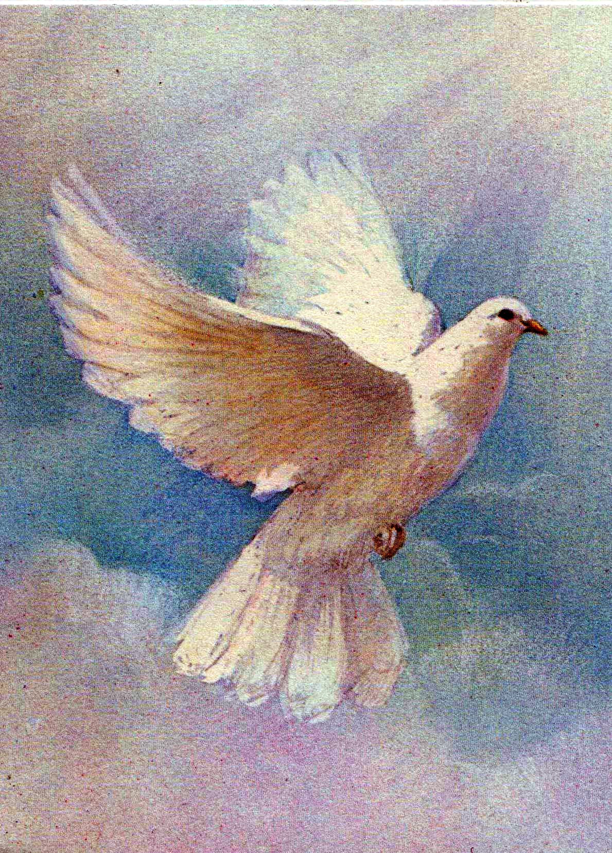 Roy Walter Aldous Obituary - North Charleston, SC