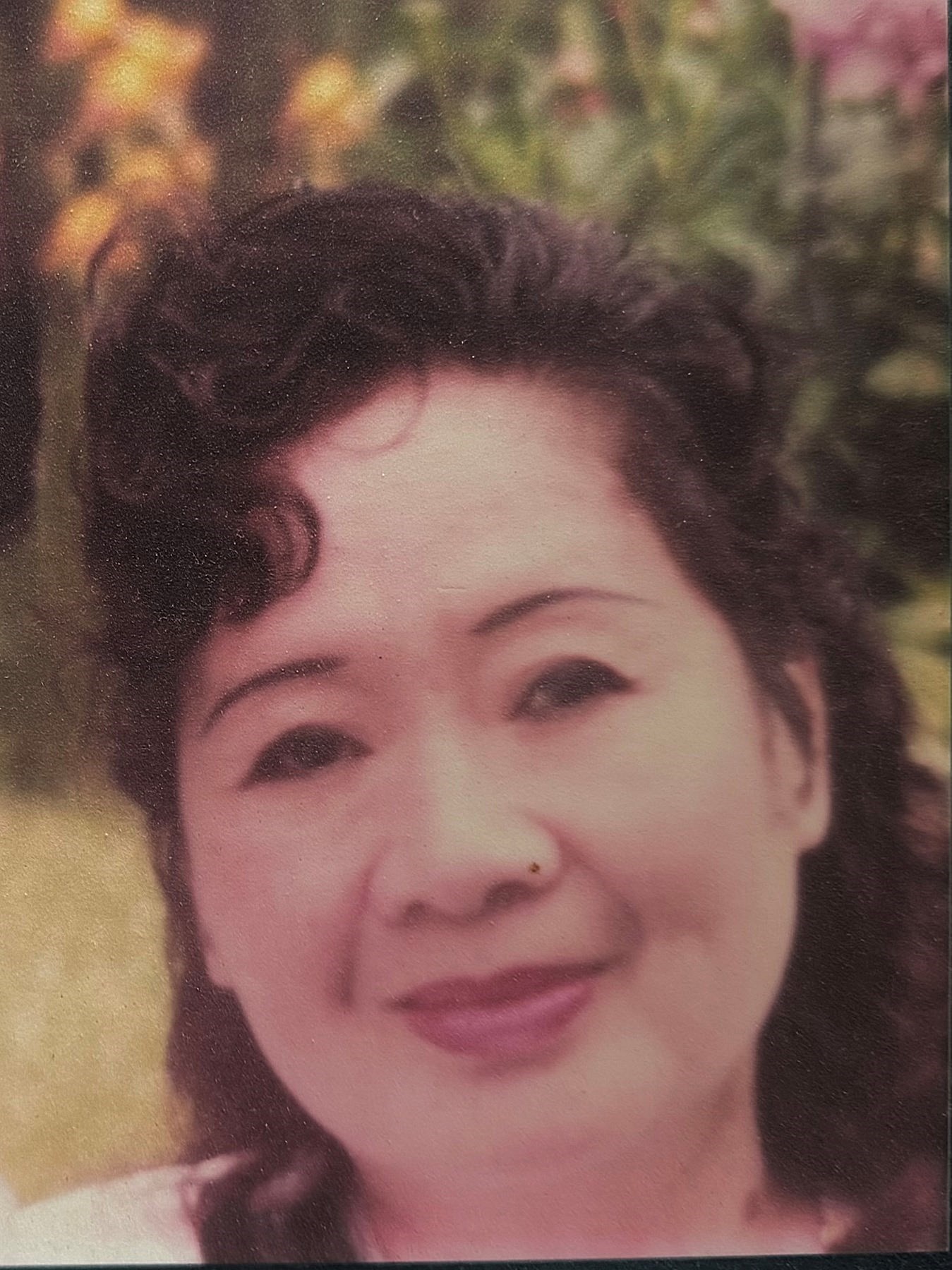 Thi Dien Chi Nguyen Obituary Longueuil QC Thi Dien Chi Nguyen Obituary Longueuil QC