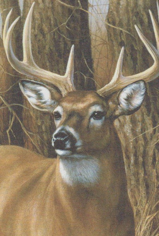 Gary Wayne Holbrook Obituario - Tahlequah, OK