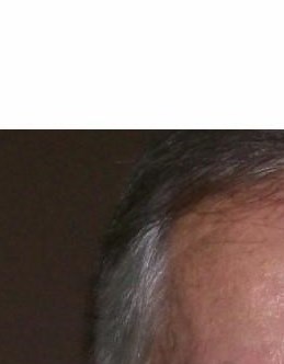 Paul Farrell Obituary - Indianapolis, IN Paul Farrell Obituary - Indianapolis, IN