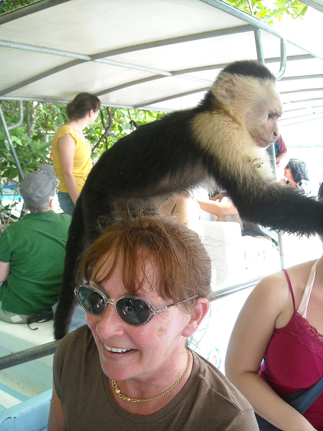 Susan Acker's Instagram, Twitter & Facebook on IDCrawl