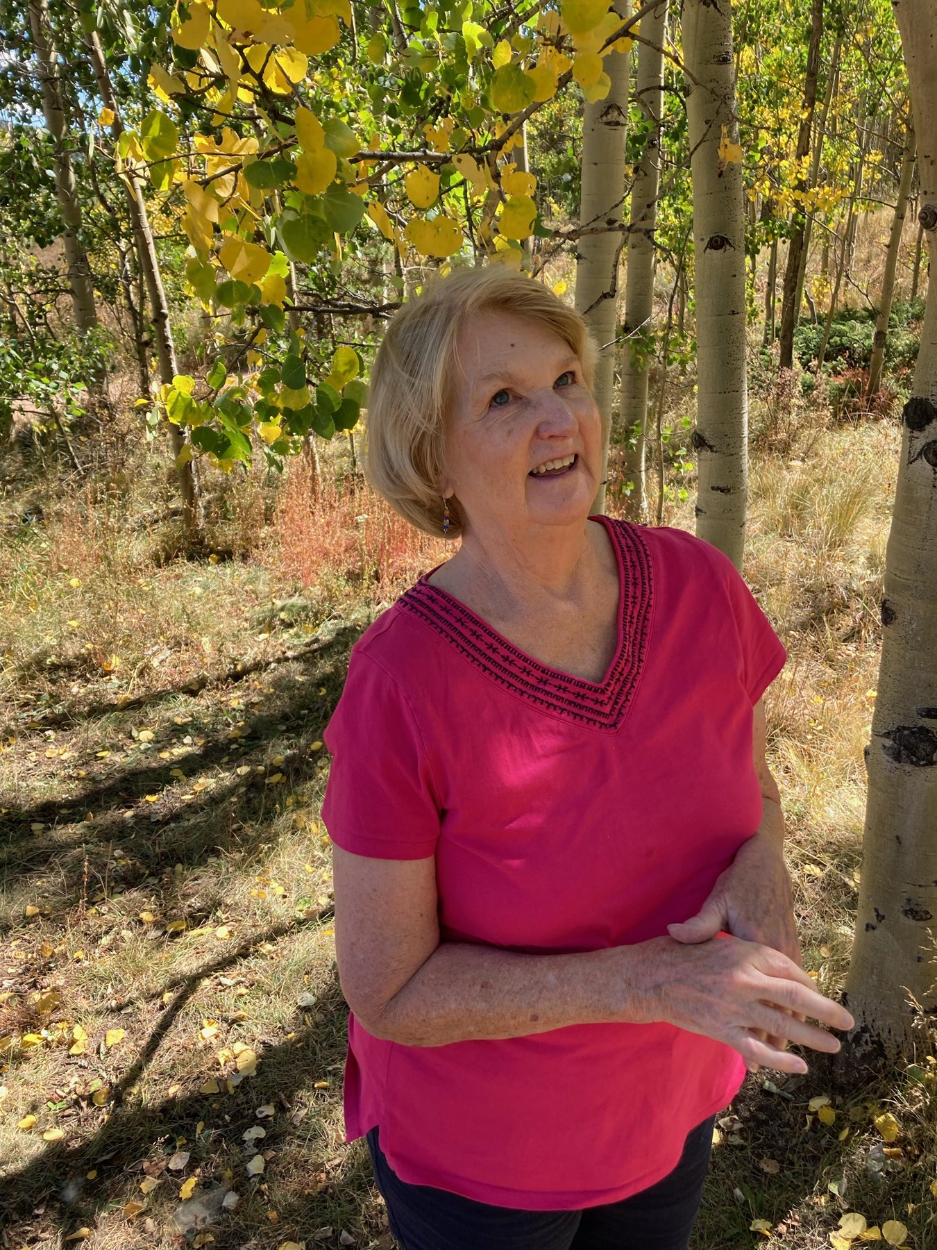 Nancy Ehlenbeck Obituary - Ft. Collins, CO