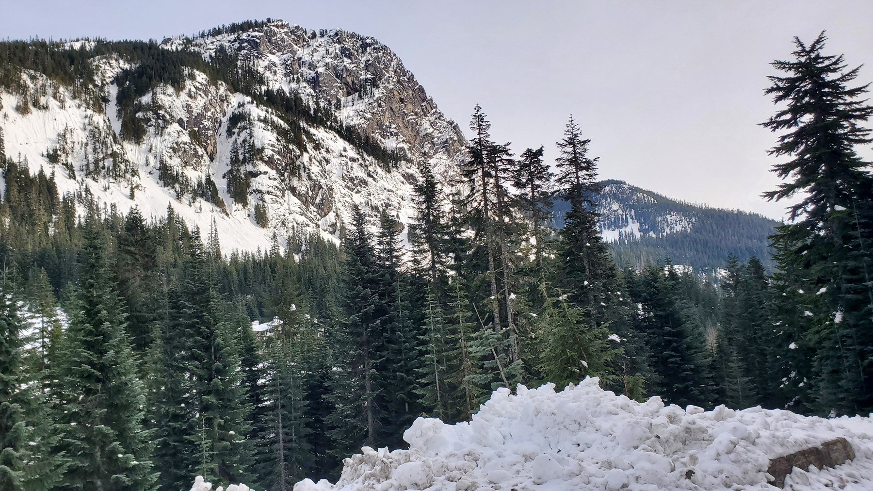 Doris Mildred Olson Obituary - Snohomish, WA