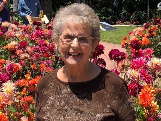 Virginia Dula Obituary - Lincoln, NE