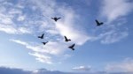 Find Obituaries & Funeral Services | Dignity Memorial