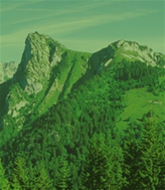 Richard Freitas Obituary - Wailuku, HI