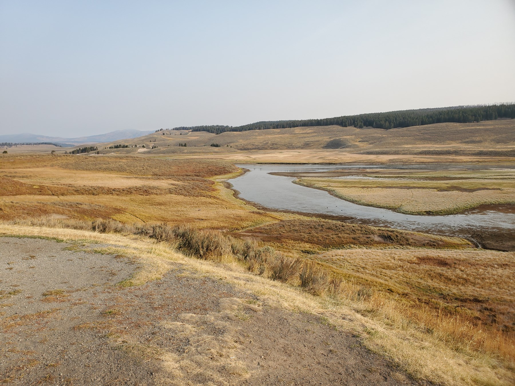 Elizabeth Suzanne Johnson Obituary - Snohomish, WA