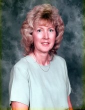 Judy Kramer Obituary - Springfield, IL