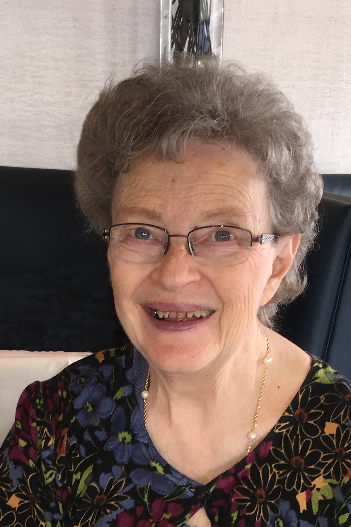 Diane Schultz Obituary - Arlington Heights, IL