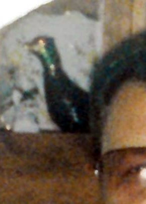 Kenneth Isaac Obituary - Campbellton, NB Kenneth Isaac Obituary - Campbellton, NB