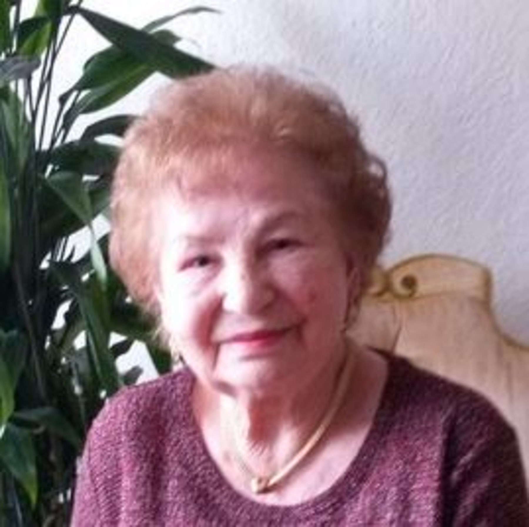 Michele Koziol Obituary - Des Plaines, IL