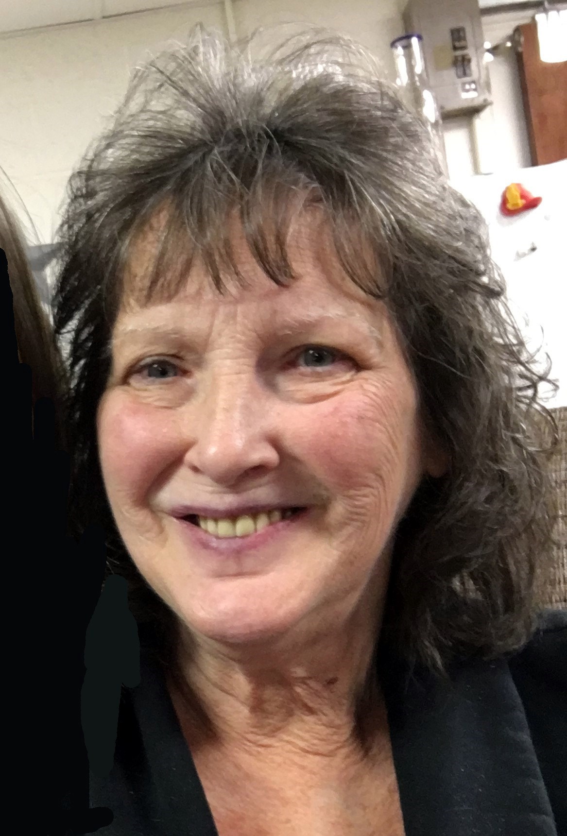 Deborah Wilson Obituary - Hickory, NC