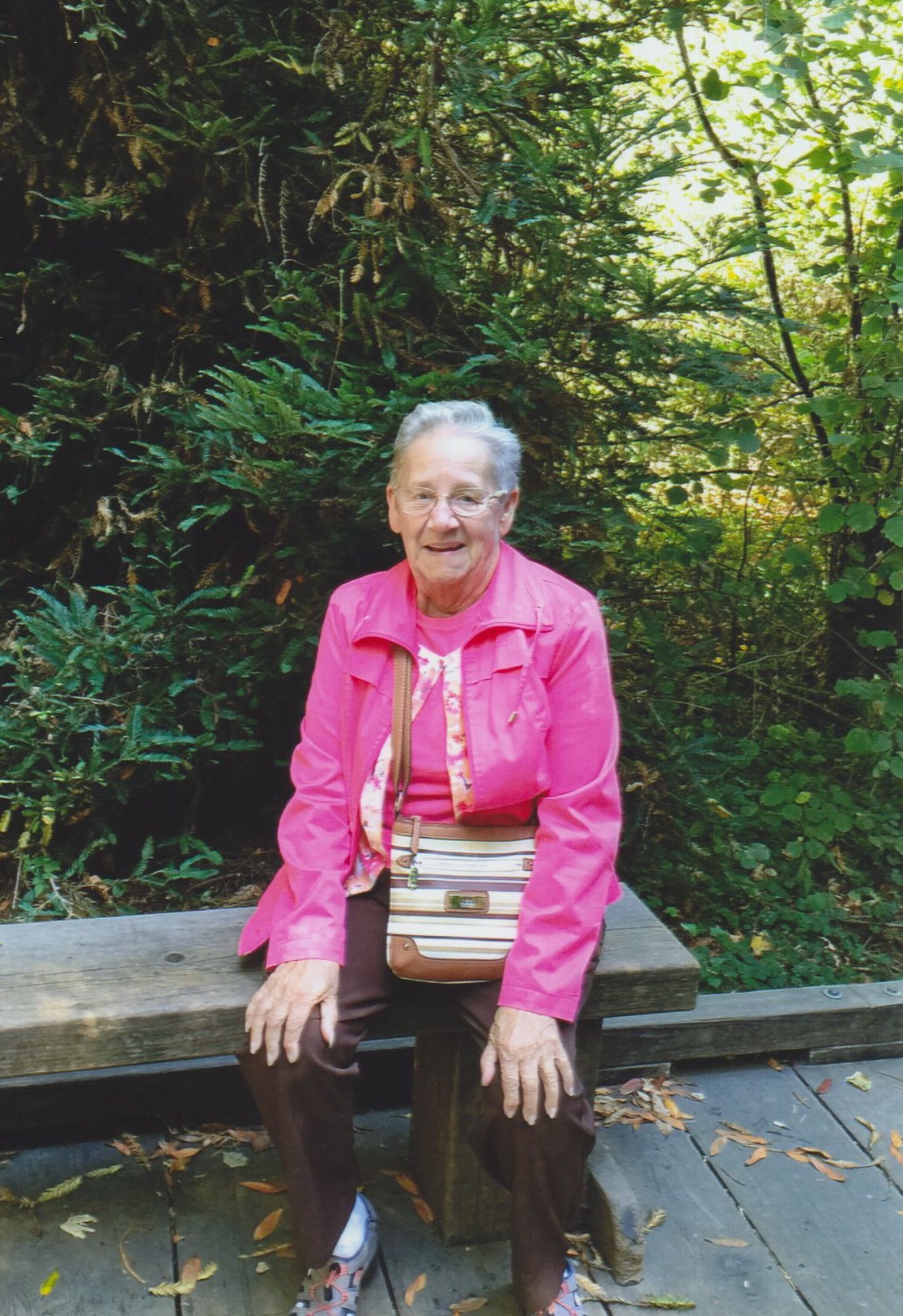 Nancy Jane Ogden Nye Obituary - Lansing, MI