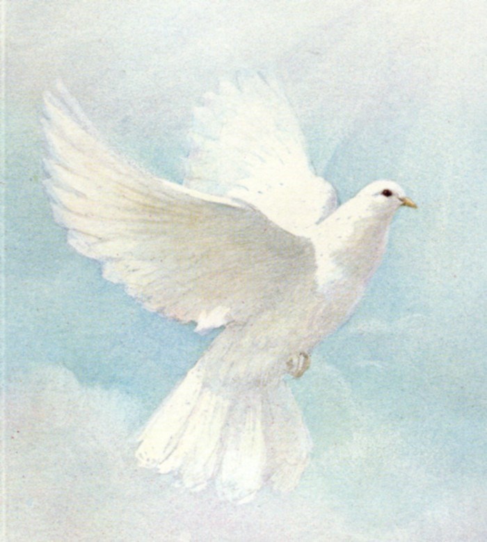 Janet Beard avis de décès - Creve Coeur, IL