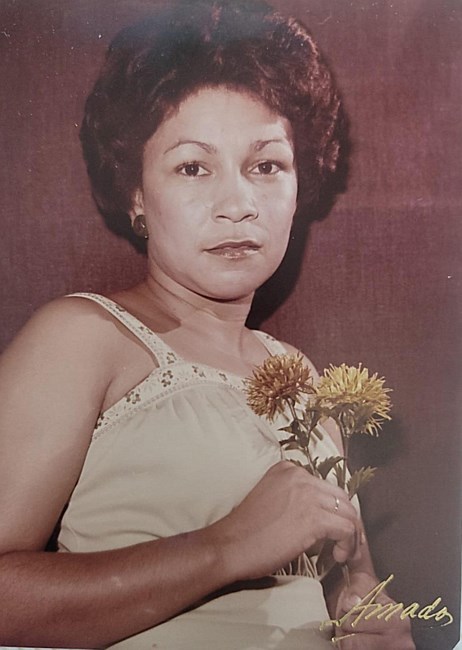 Hilda Aviles Rivera Obituary - Canovanas, PR