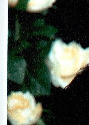 Rosanne Romano Obituary Boca Raton Fl