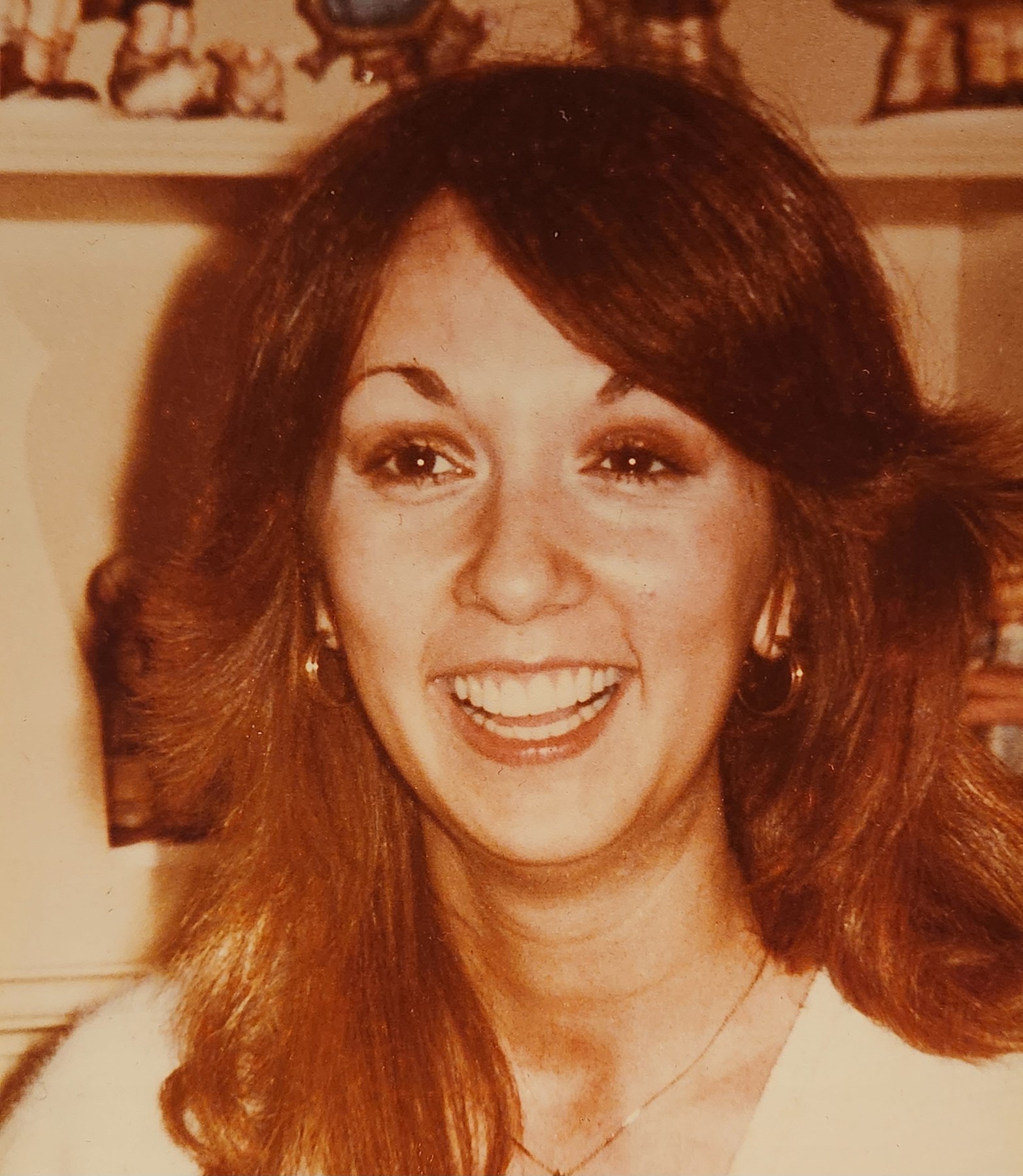 Debra Erickson Obituary - Arlington Heights, IL
