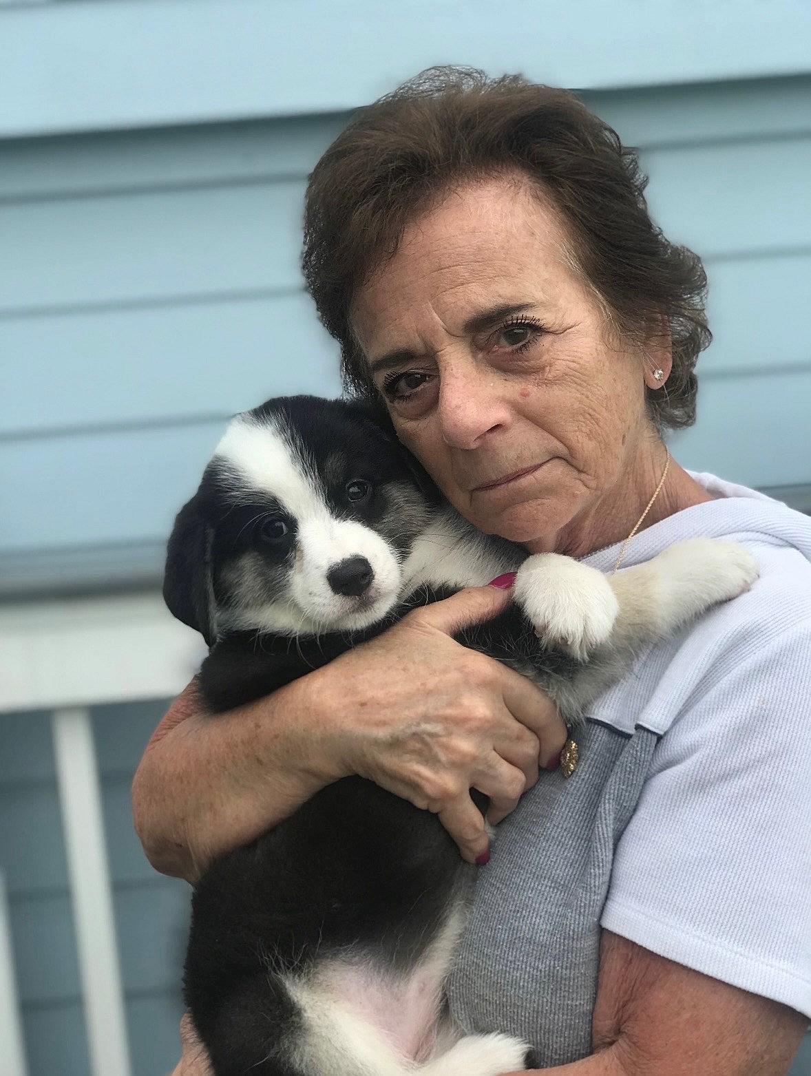 Paula Gentile Obituary - Houston, TX